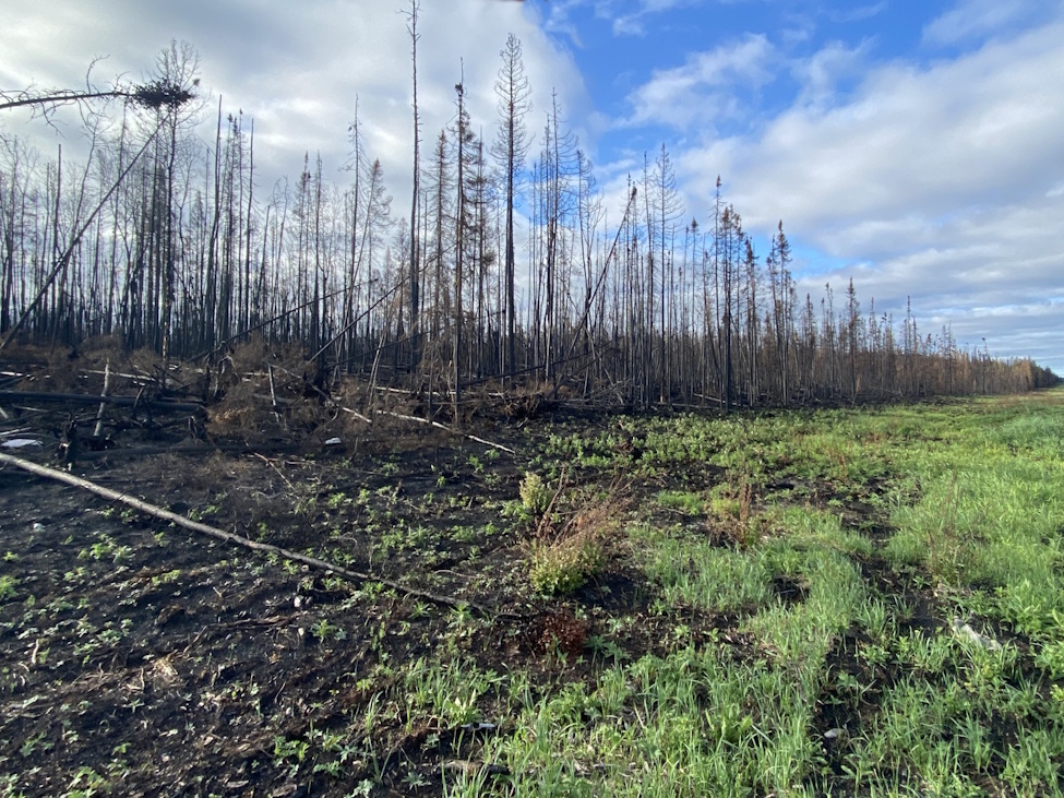Fire Bulletin #46 - 83 active wildfires remain across the province - DiscoverWestman.com - Local ...